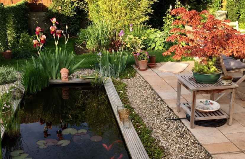 Landelijke tuin voorbeelden, ideeën & foto's bekijken - Slimster