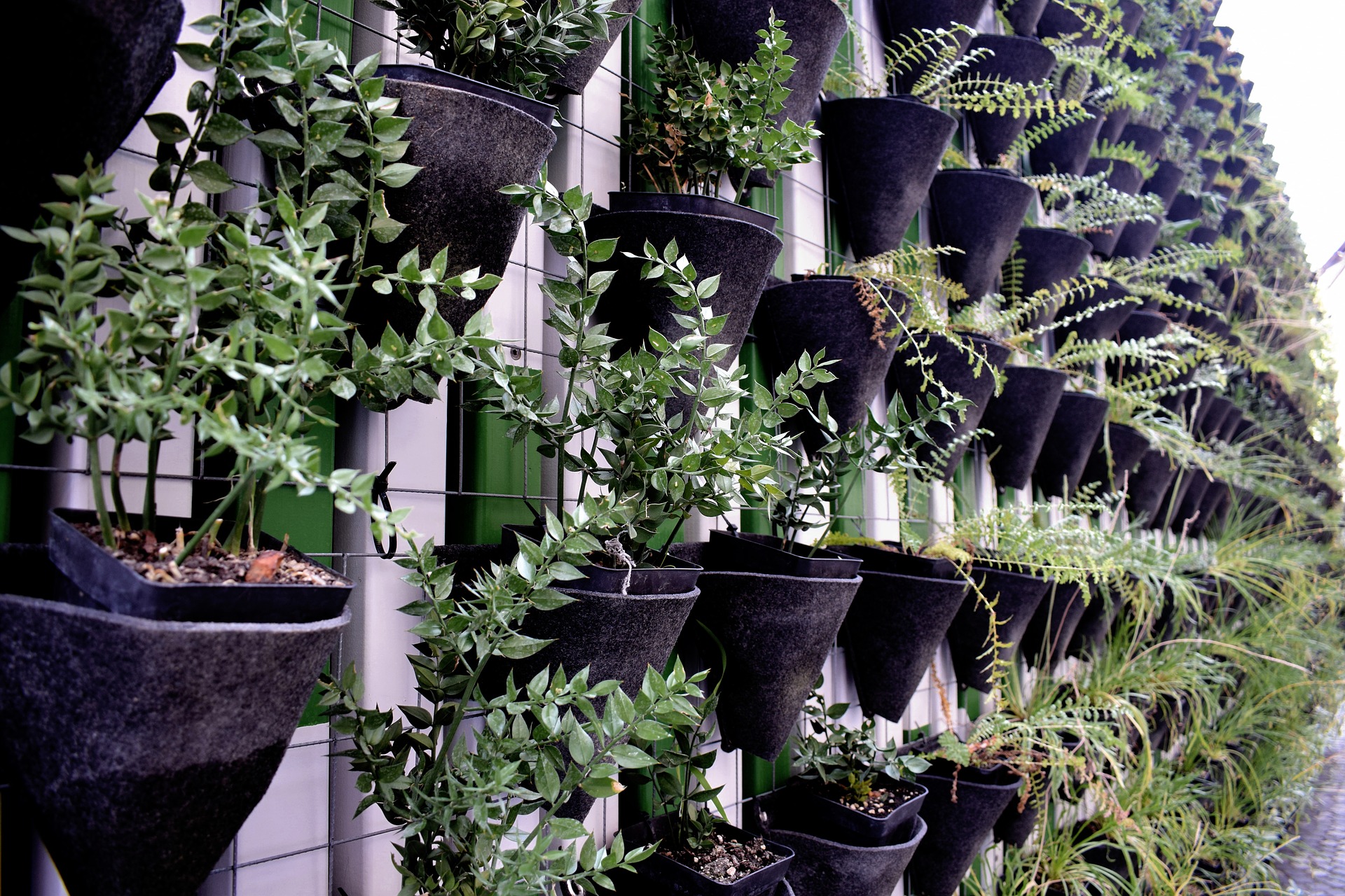 Verticale tuin voorbeelden → Ideeën & foto's bekijken - Slimster