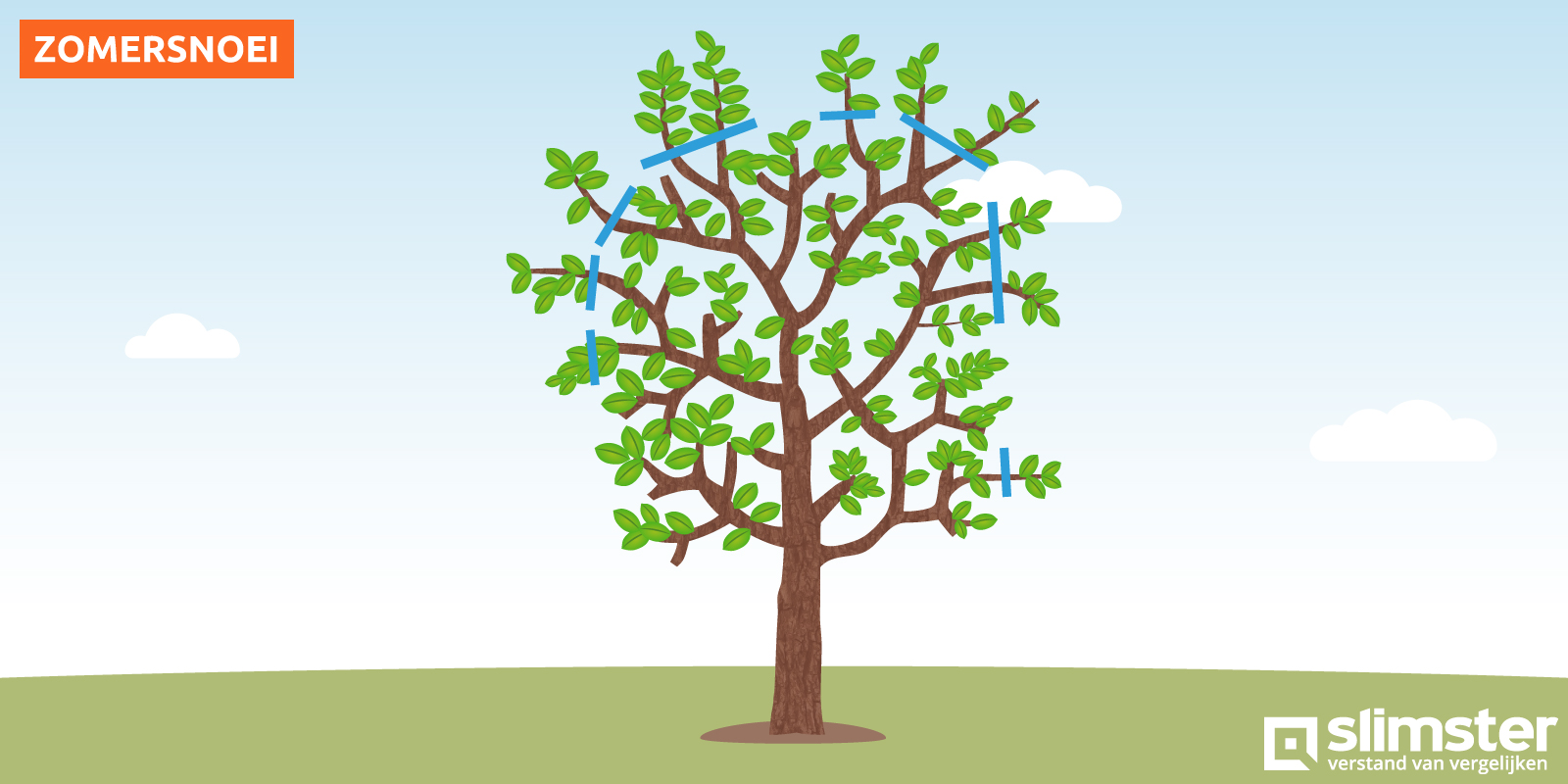 Appelboom snoeien: Tips voor zomer- en wintersnoei - Slimster blog